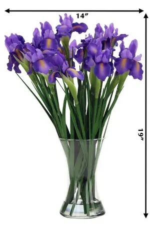MARK ROBERTS Vase Of Iris