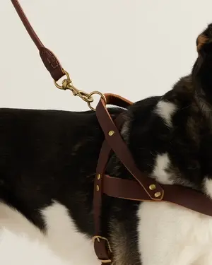 Quince Rolled Italian Leather Dog Leash