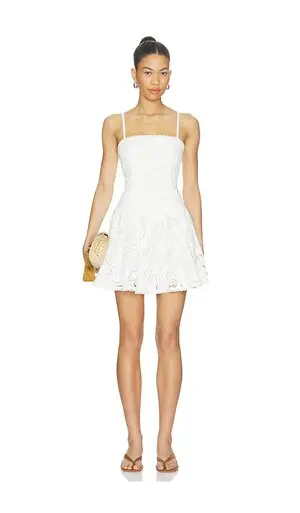 Steve Madden Giada Eyelet Mini Dress