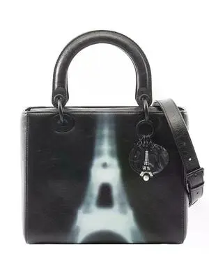 Dior 2010-2026 Medium Crinkled Calfskin Eiffel Tower Lady Satchel