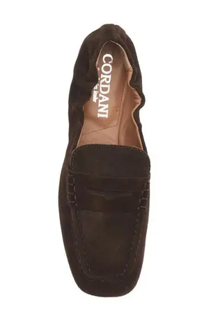 Cordani Arlie Penny Loafer - Camoscio Pepe