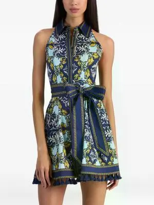 Alice + Olivia Lucy Mini Dress
