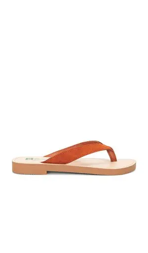 Seychelles Deliah Sandal