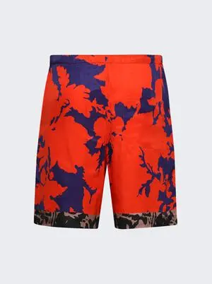 Dries Van Noten Piperi Shorts - Multi