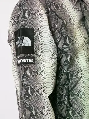 Supreme X The North Face Snakeskin-print Jacket