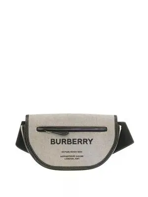 Burberry Trimmed Belt Bags
