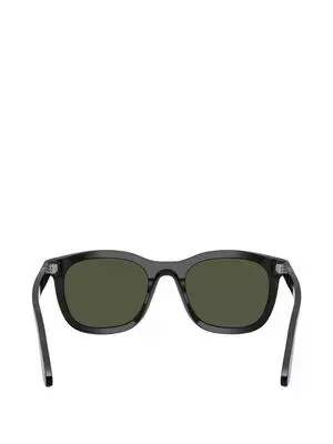Persol Butterfly-frame Sunglasses