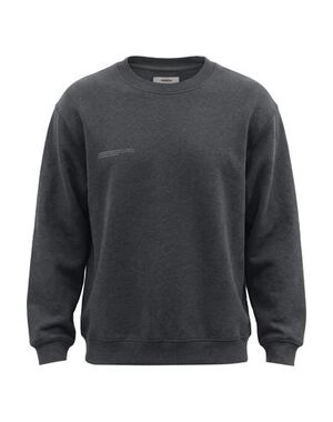 PANGAIA Sweatshirt In Organic And Recycled Cotton - Grey