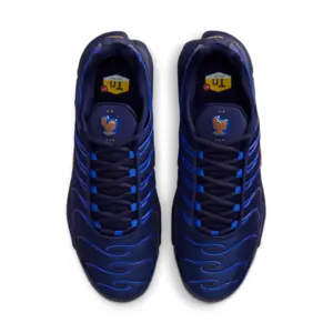 Nike Air Max Plus Og "fff" Shoes - Blue