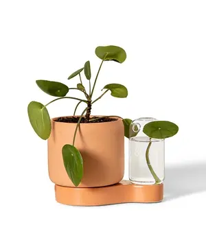 UNCOMMON GOODS Self-watering Planter & Propagation Station Greenfinity - Multi