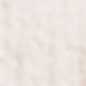Wolford Daisy Net Tights - Ivory