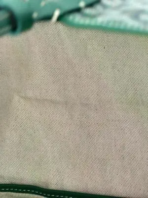 Goyard Saint Louis Coated Canvas Pm Tote Bag - Green
