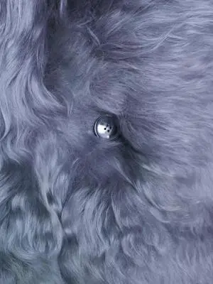 Marni Fur Jacket