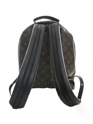 LOUIS VUITTON Monogram Palm Springs Mm Backpack