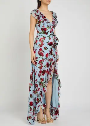 Alice + Olivia Floral Devoré Chiffon Maxi Dress - Multicoloured