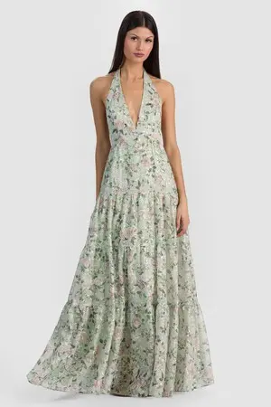 Alice + Olivia Flowy Day Dresses