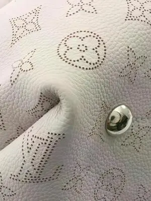 LOUIS VUITTON 2020 Bella Mahina Brume Shoulder Bag