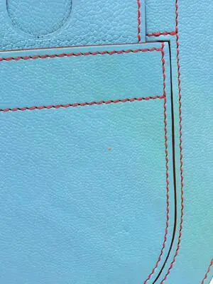 Hermès 2018 Gm In The Loop To Go Phone Case