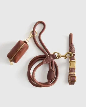 Quince Leather Dog Collar Walk Kit - Brown