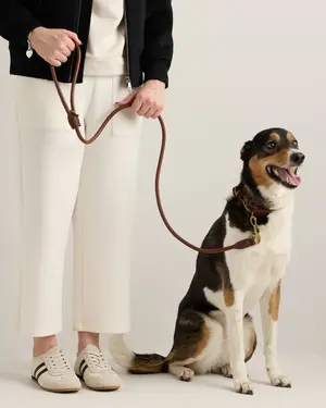 Quince Italian Leather Dog Walk Kit
