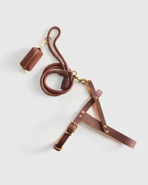 Quince Italian Leather Dog Harness Walk Kit - Brown