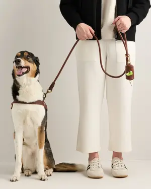 Quince Italian Leather Dog Harness Walk Kit