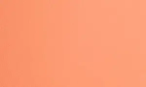 Spanx Active 4-inch Shorts - Persimmon