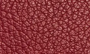 Shinola Canfield Essential Id Pebble Leather Card Holder - Ruby