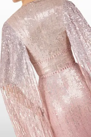 Jenny Packham Sequin-embellished Maxi Gown With Cape Sleeves - Sugar
