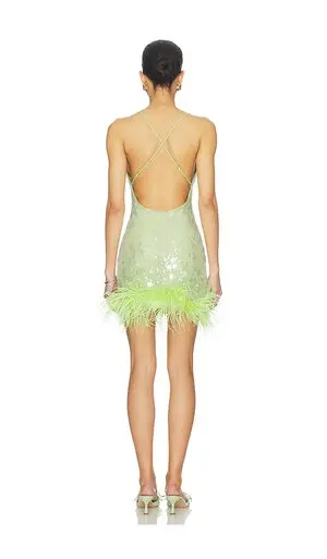 Delfi Sequin Embellished Feather Trim Mini Dress