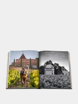 Assouline Wine & Travel France - Orange