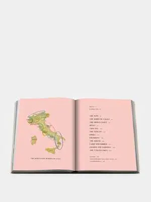 Assouline Wine & Travel Italy - Orange