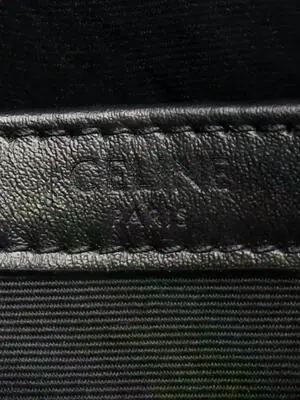 Celine Medium Triomphe Coated Canvas Messenger Bag - Black