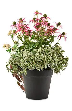 MACKENZIE-CHILDS Everlasting Mix Urn Filler
