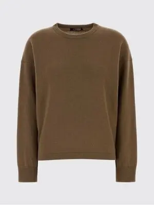 Max Mara Virgin Wool And Cashmere Crew-neck Pullover - Brown