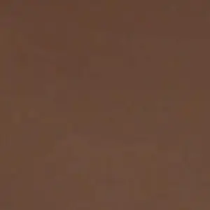 BIRKENSTOCK Leather Arizona Sandals