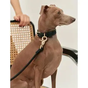 CAFIDE Vegan-leather Dog Collar - Black