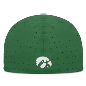 Nike Iowa Dugout Dri-fit Hat
