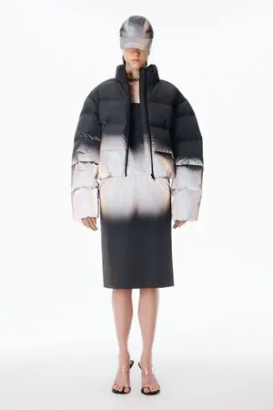 Alexander Wang Reflective Gradient Puffer - Silver/black