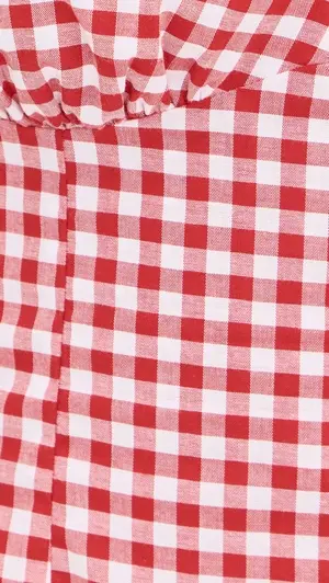 Peixoto Liam Midi Dress In Gingham Check - Sriracha Gingham