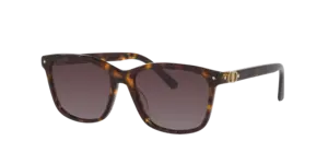 Dior Sunglasses - Brown Gradient