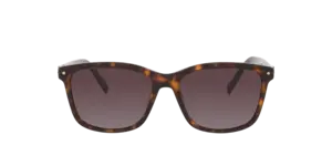 Dior Sunglasses - Brown Gradient