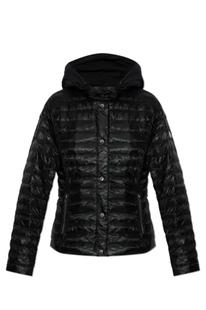 Moose Knuckles Puffer Jacket With Detachable Hood