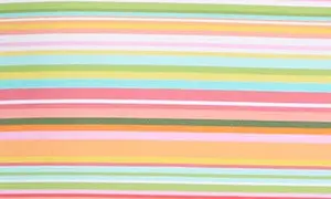 BLEU BY ROD BEATTIE Striped Tankini