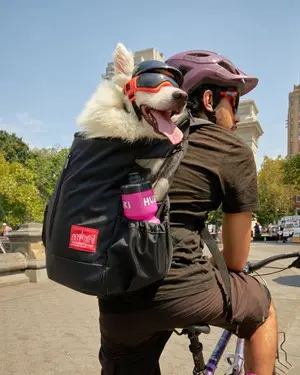 MANHATTAN PORTAGE Sirius Dog Backpack