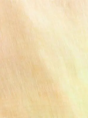 ERES Enjouée Shorts - Yellow