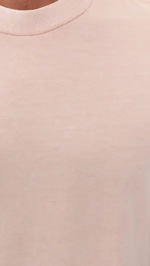 Madewell Vintage Tee - Ambient Pink