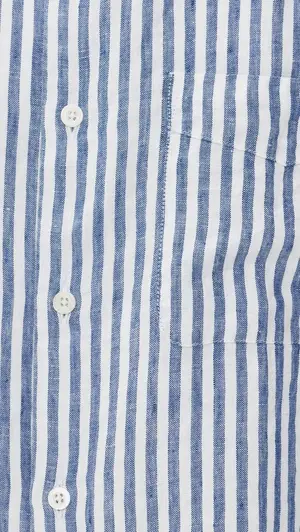 Madewell Long Sleeve Linen Top - Blue Stripe