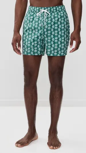 Onia Charles 5 Swim Trunks - Aloe Multi