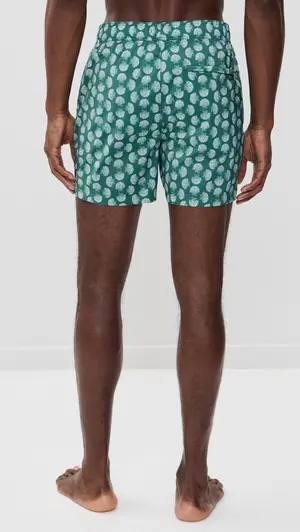 Onia Charles 5 Swim Trunks - Aloe Multi